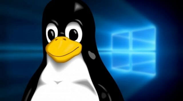 How Microsoft started it's love for Linux ♥ - A HistoryRob's Blog ... How Microsoft started it's love for Linux ♥ - A HistoryRob's Blog ...